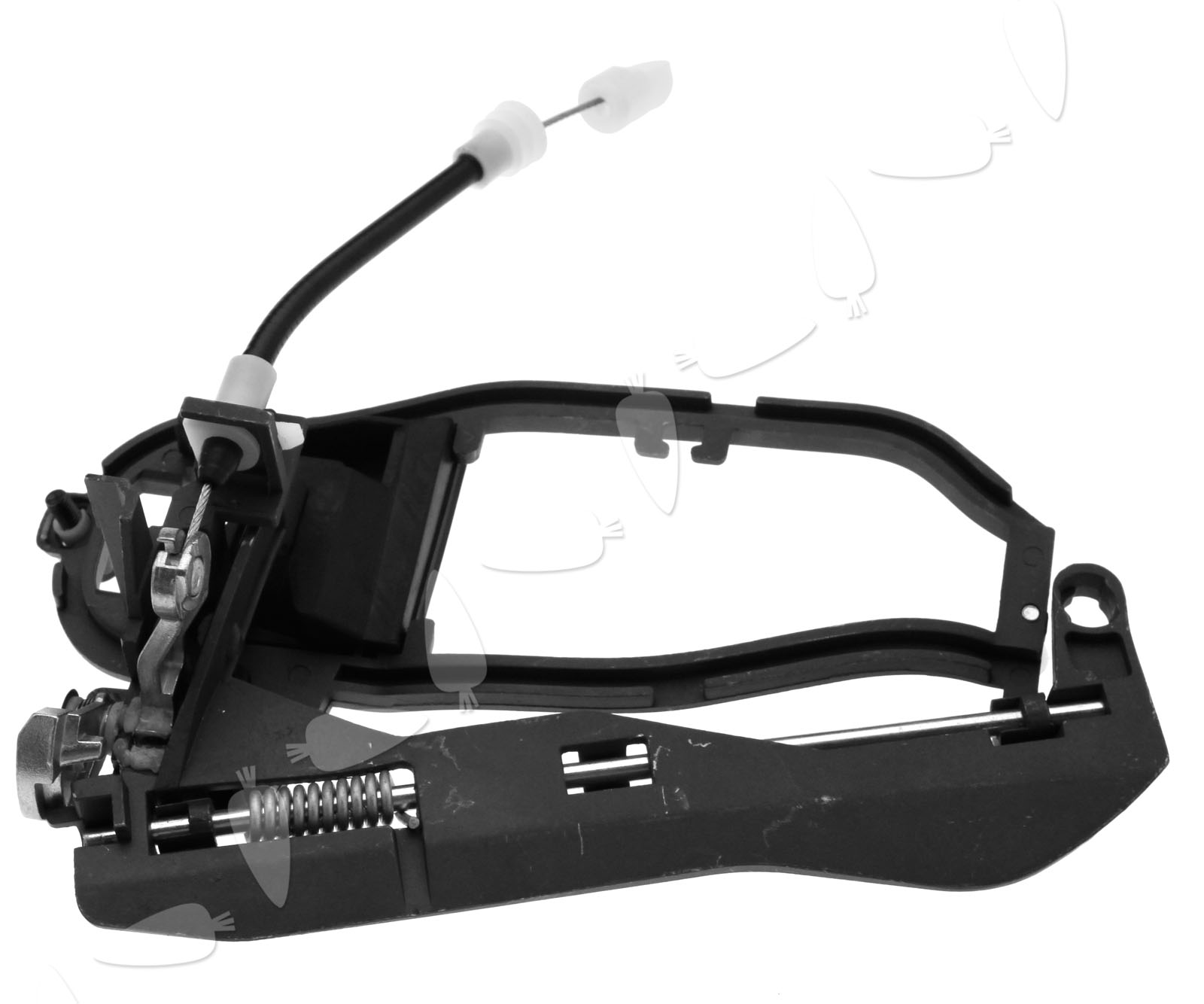 Blog Archives - sosbio